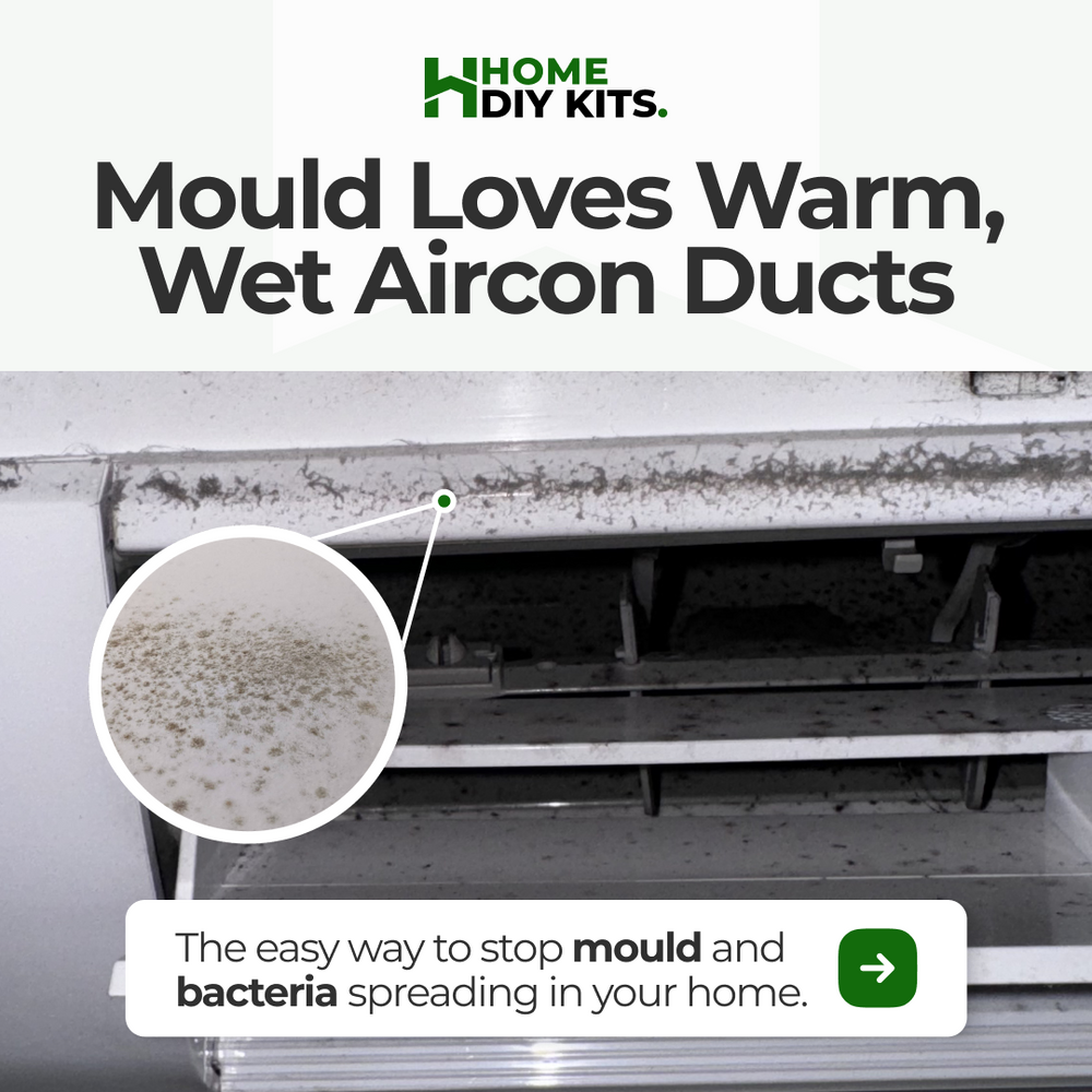 Anti-Mould AC Diffuser | Stop Mould & Bacteria | Home DIY Kits – Home ...